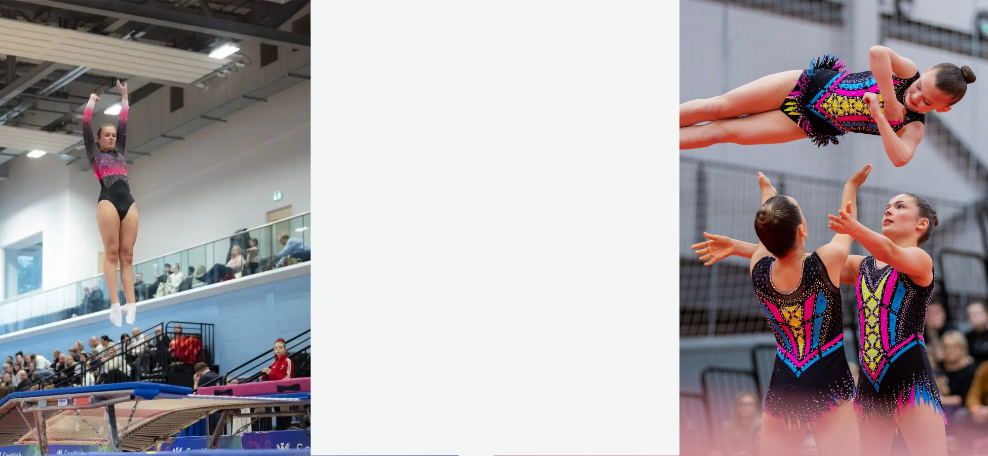 Brilliant Basics FanZone Demo – Lokkaroom